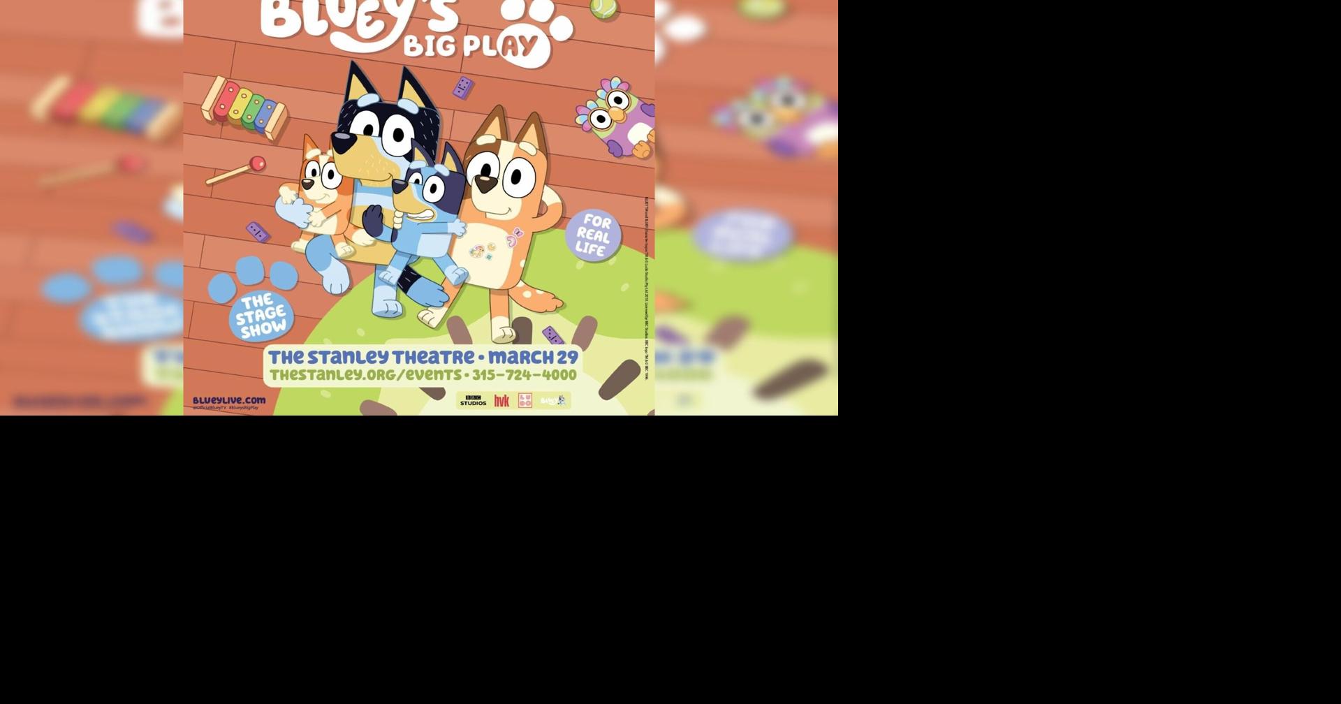 Tickets on sale for 'Bluey's Big Play' at The Stanley Theatre ...