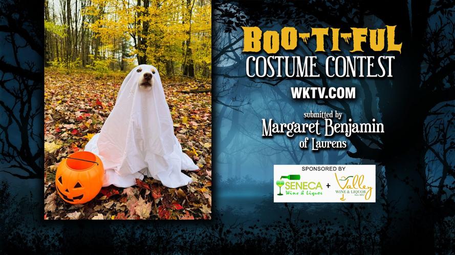 Winners of WKTV's Boo-ti-ful Costume Contest Announced | Community ...
