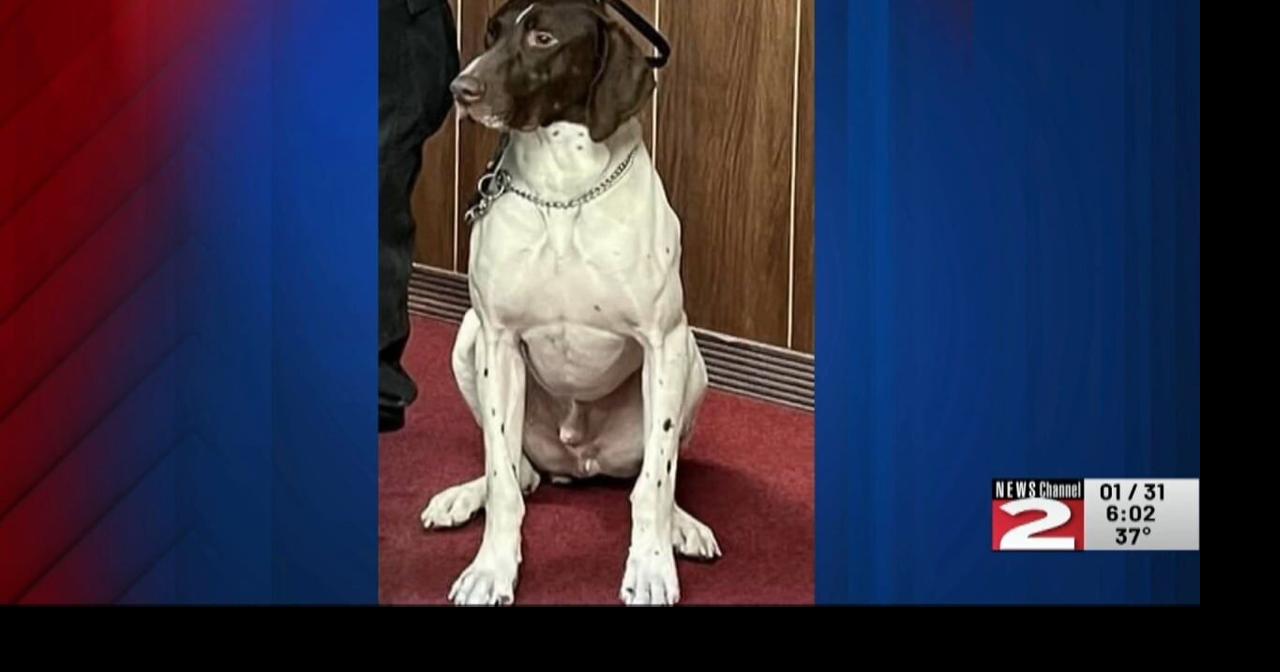 Contraband Reported at Oneida County Correctional Facility | Local ...