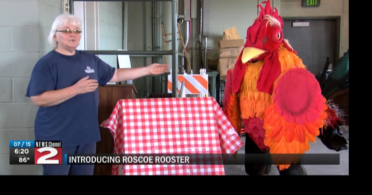 New Mascot Unveiled at the Oneida County Public Market | News | wktv.com