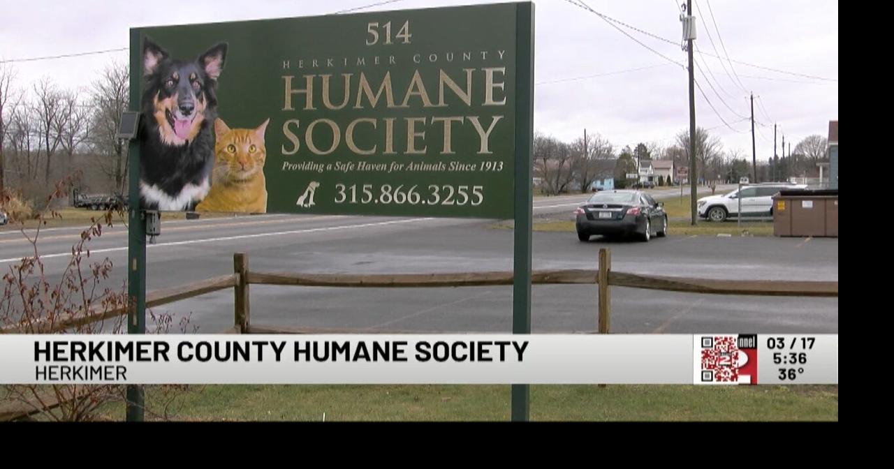 Enhancements for Canine Residents at Herkimer County Humane Society ...