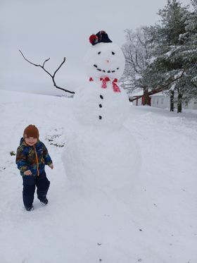 Snowman collection | | wktv.com