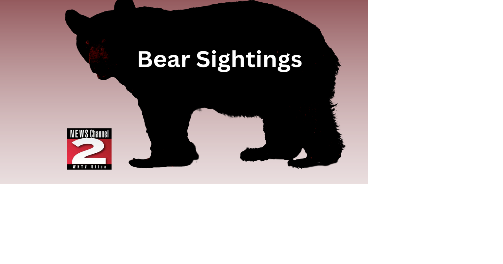 Bear on the Run: Residents in Marcy Get a Surprise Visit | Local | wktv.com