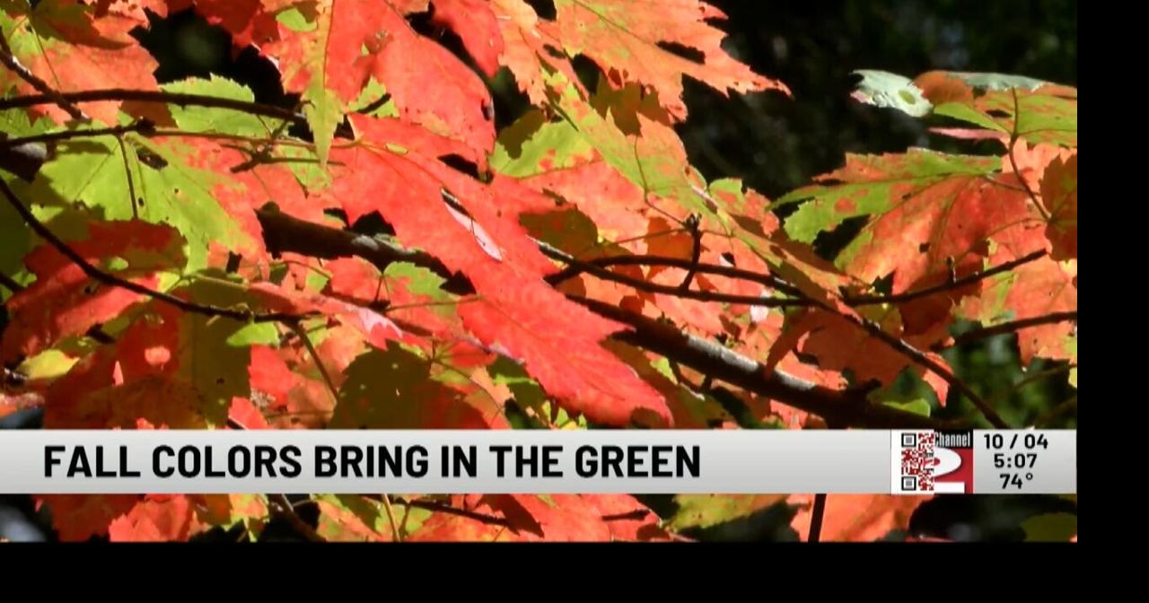 Fall Colors Bring in the Green | Entertainment | wktv.com