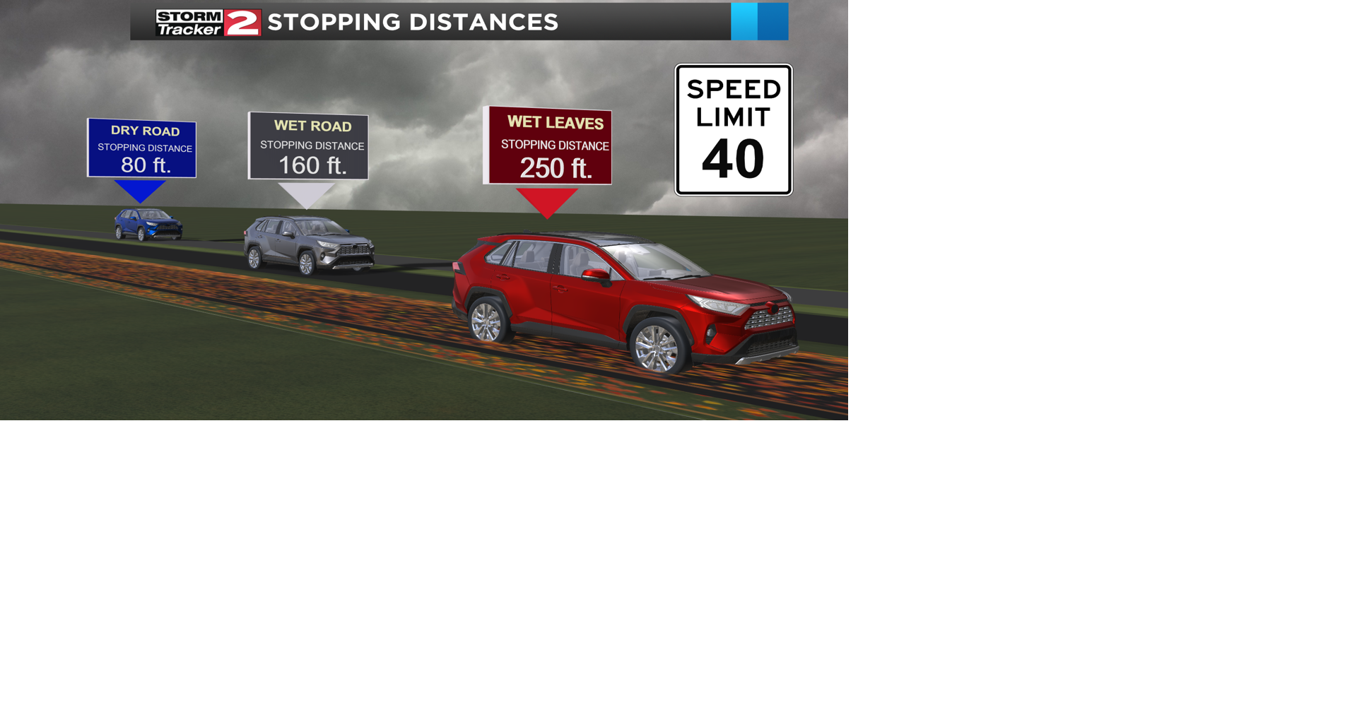 Road Hazard: How Do Wet Leaves Affect Stopping Distance? | Education ...