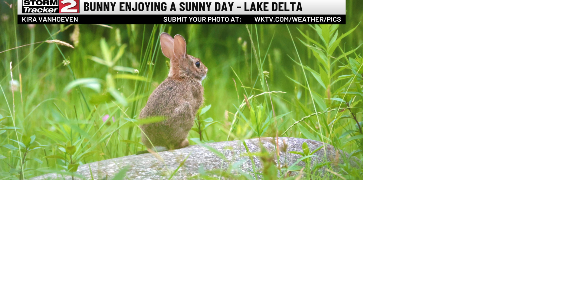 WKTV Weather Photo of the Day: July 2 | Daily Weather Photo | wktv.com