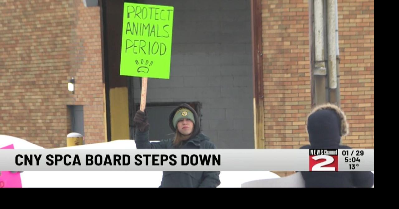 9 Employees Walk Off Job; CNY SPCA Board Resigns | Video | wktv.com