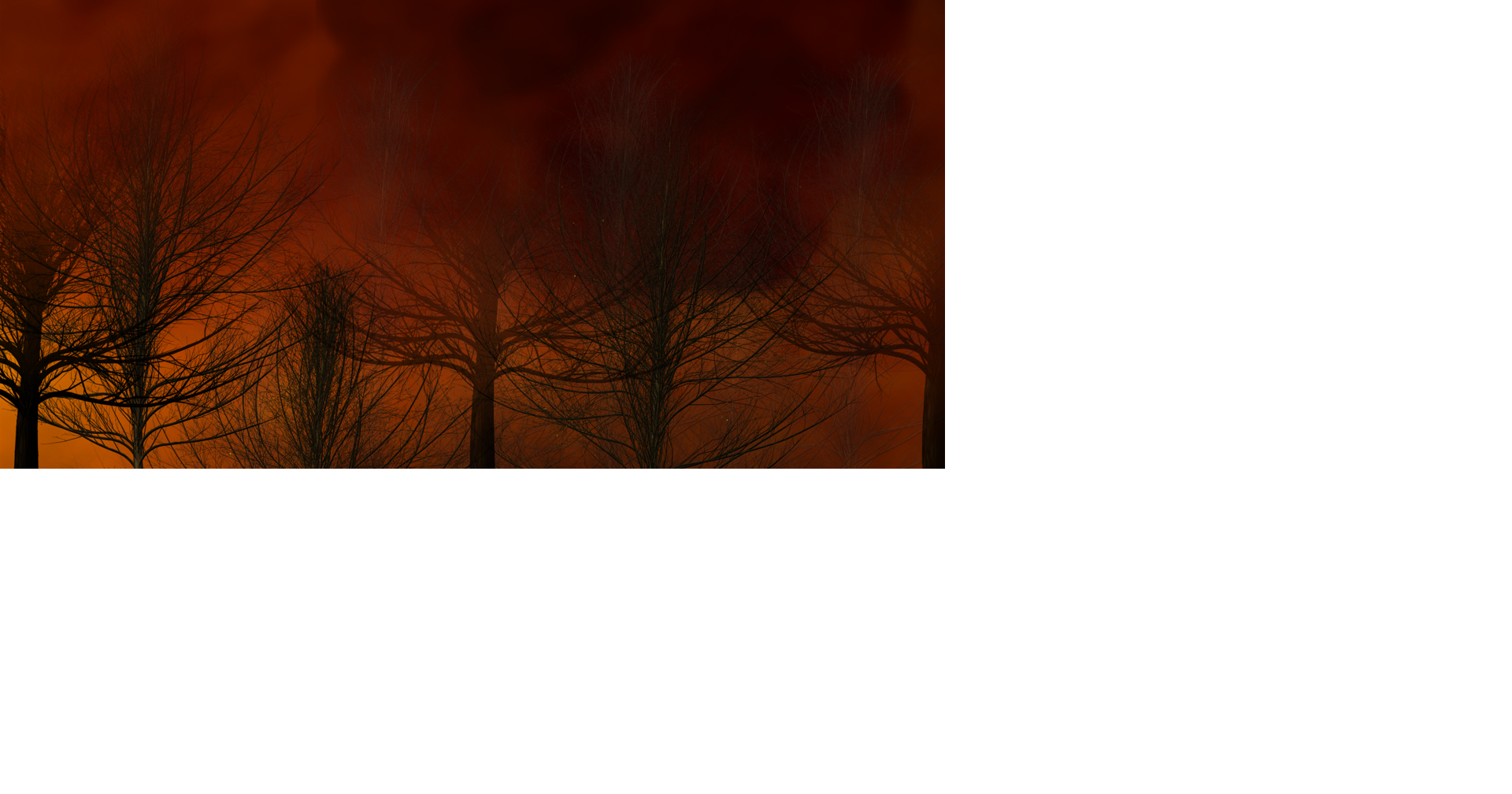 12 Wildland Fires Across 9 Counties Over 7-Day Span in New York State ...