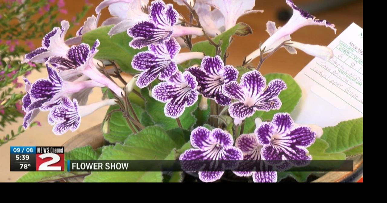 Last Chance to See Flower Show at Utica Public Library | Entertainment ...