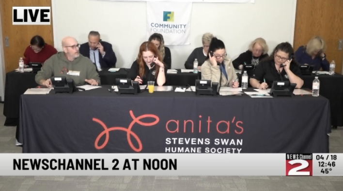 LIVE LOOK: Anita's Stevens Swan Humane Society Telethon | Community ...
