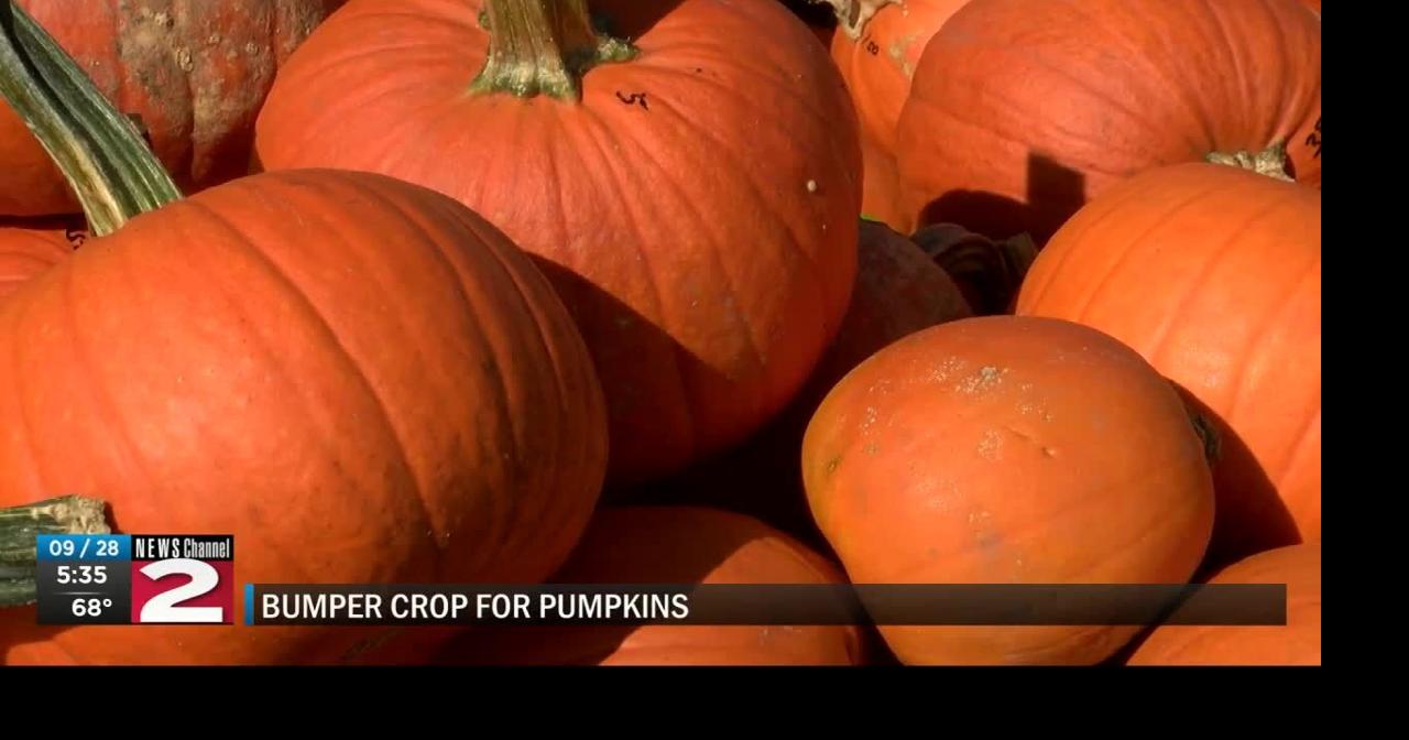 Mohawk Valley Autumn: Fewer Apples, More Pumpkins | Local | wktv.com