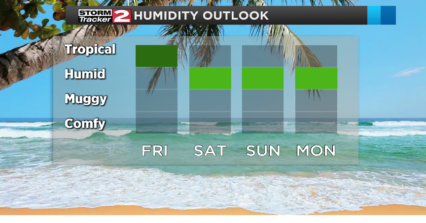 Humidity sticks around | Weather | wktv.com