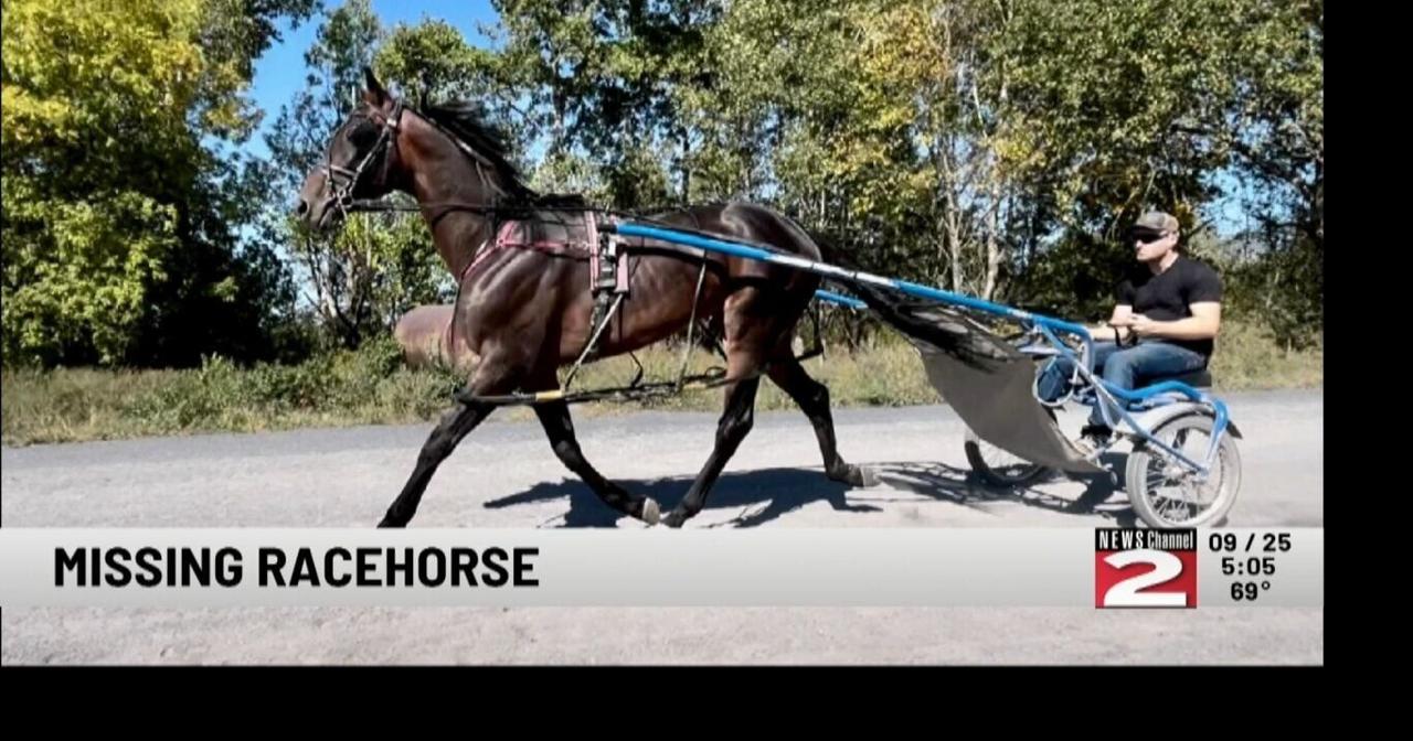 UPDATED: Missing Racehorse in Deerfield Found | Local | wktv.com