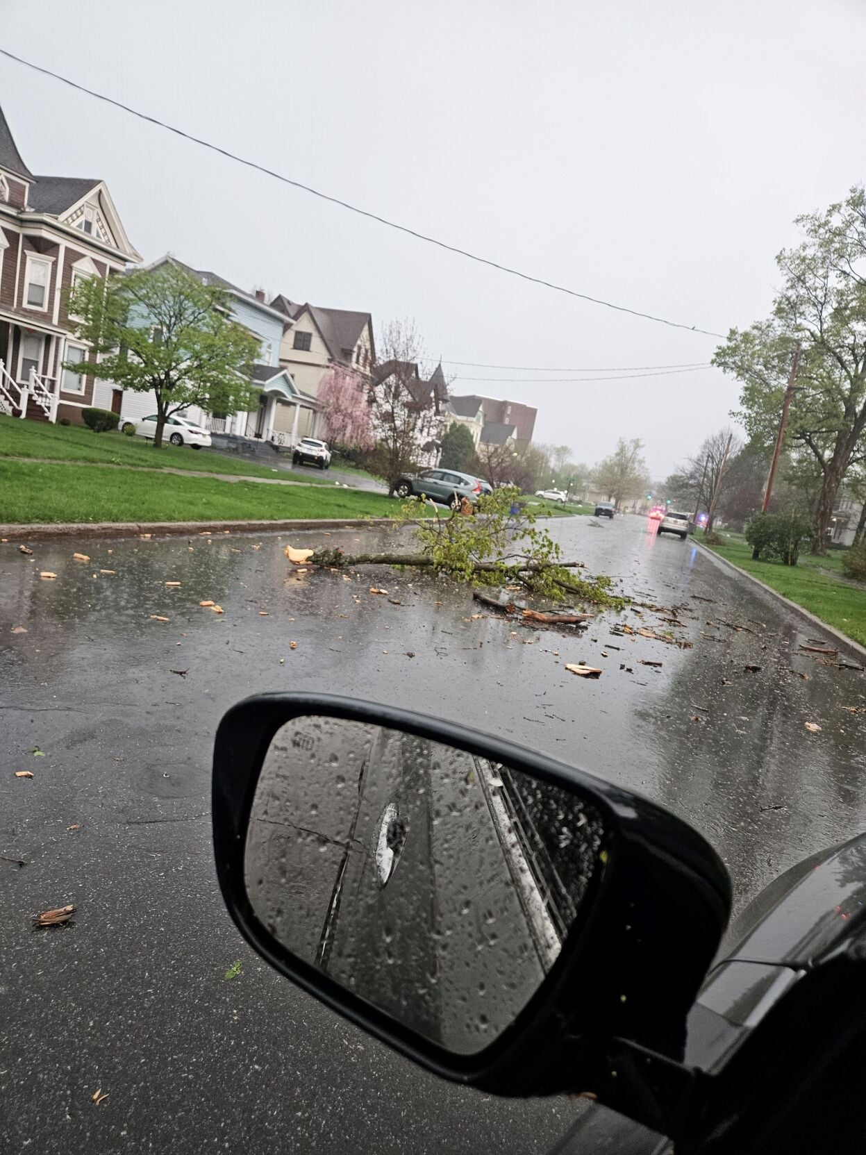 77-mph Winds: Trees and Wires Reported Down as Storm Packs a Punch in ...