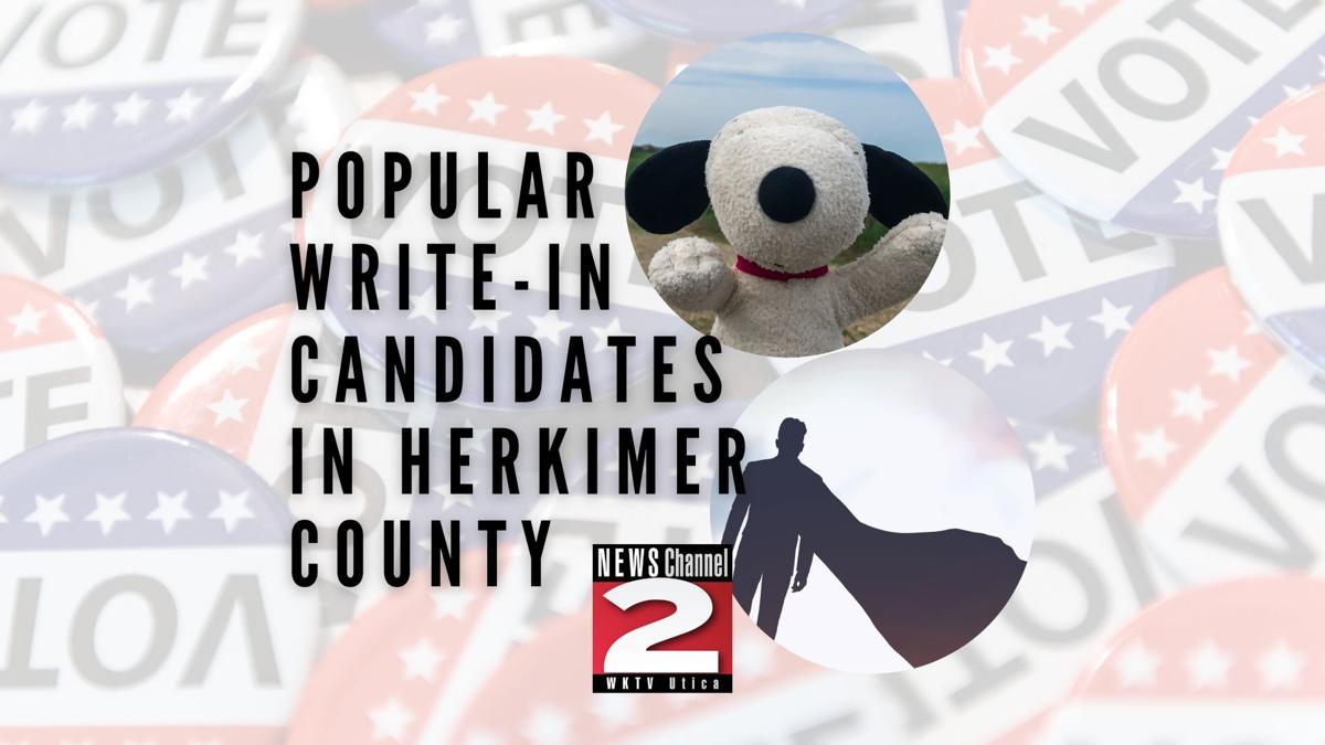 Mickey Mouse, Bugs Bunny and Jerry Springer Were Among Write-In Votes ...
