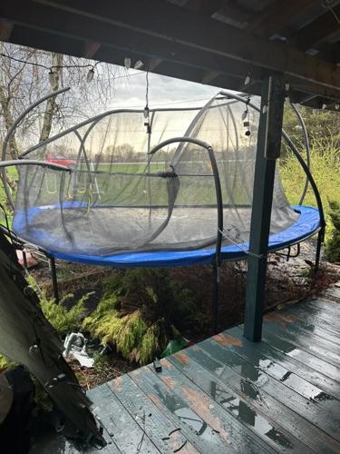 77-mph Winds: Trees and Wires Reported Down as Storm Packs a Punch in ...