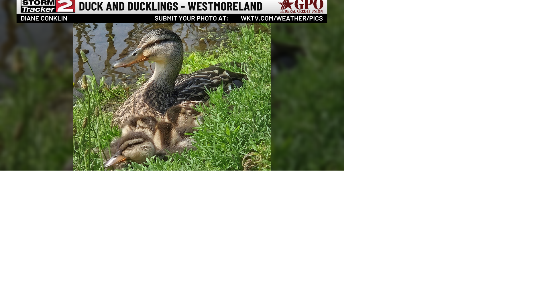 WKTV Weather Photo of the Day: June 1 | Daily Weather Photo | wktv.com
