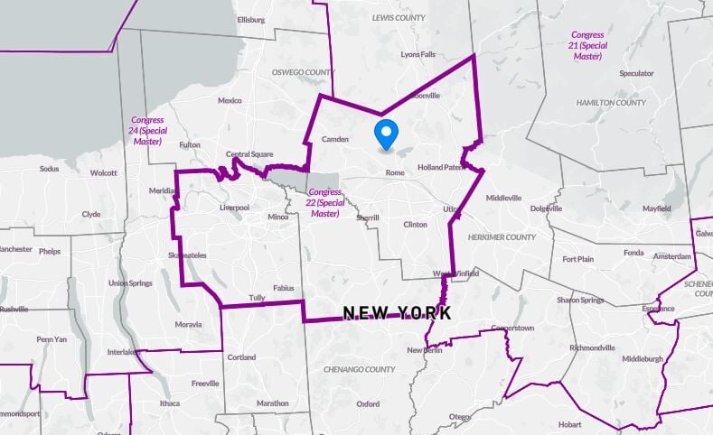 Expert appointed to redraw New York's congressional districts releases ...