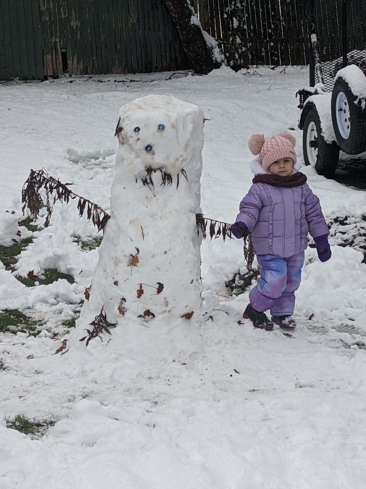 Snowman collection | | wktv.com