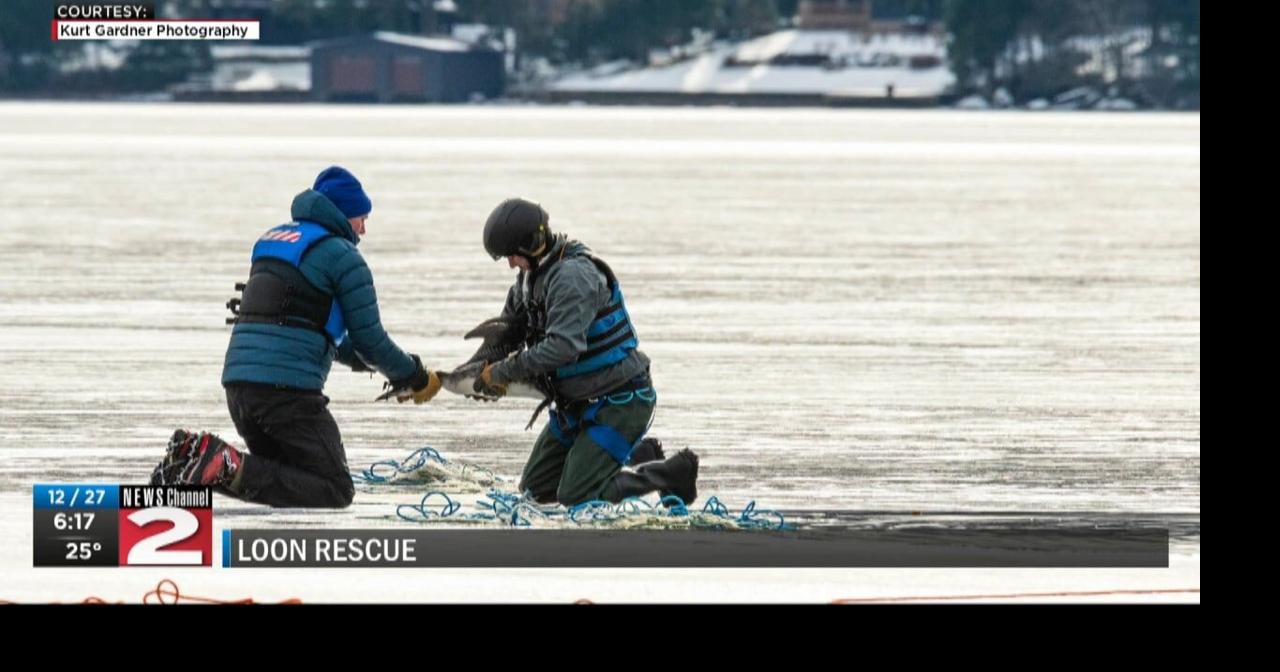 Frozen loon rescued on First Lake | News | wktv.com