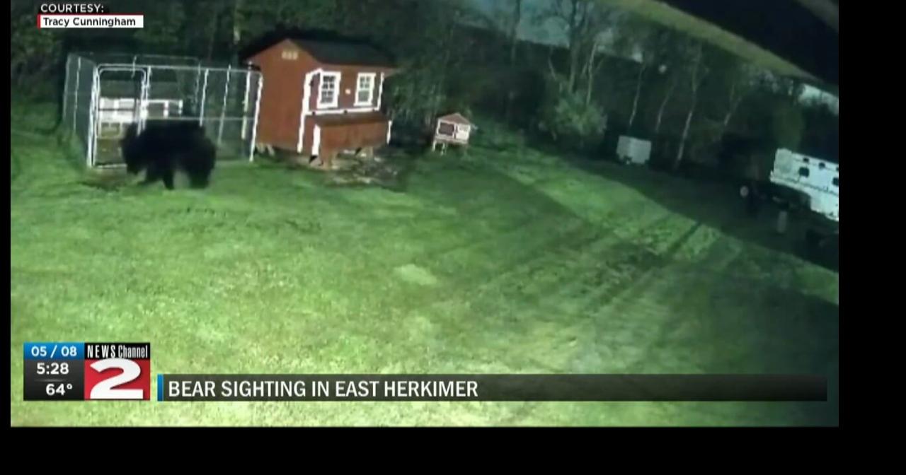 Backyard bear caught on camera sniffing around chicken coop in East Herkimer | Community | wktv.com