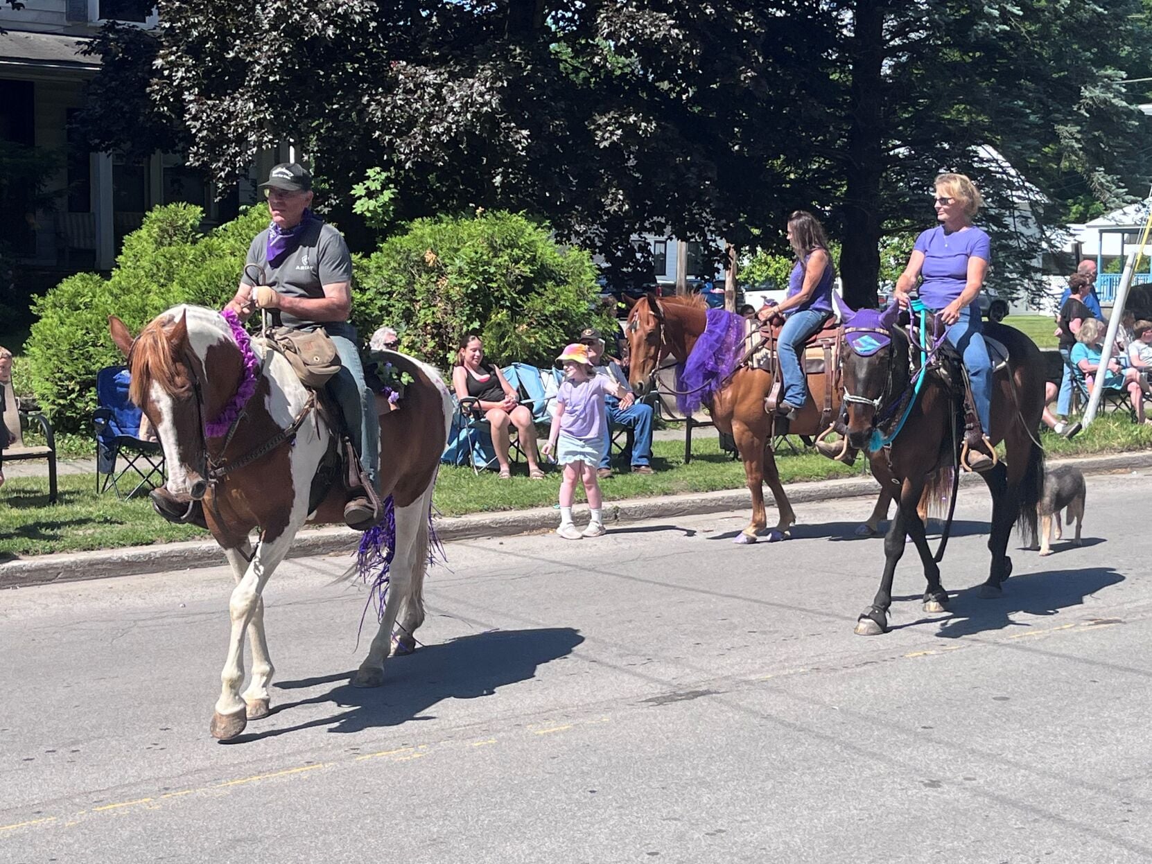 Dolgeville Violet Festival Parade Returns After 1-Year Hiatus | News ...
