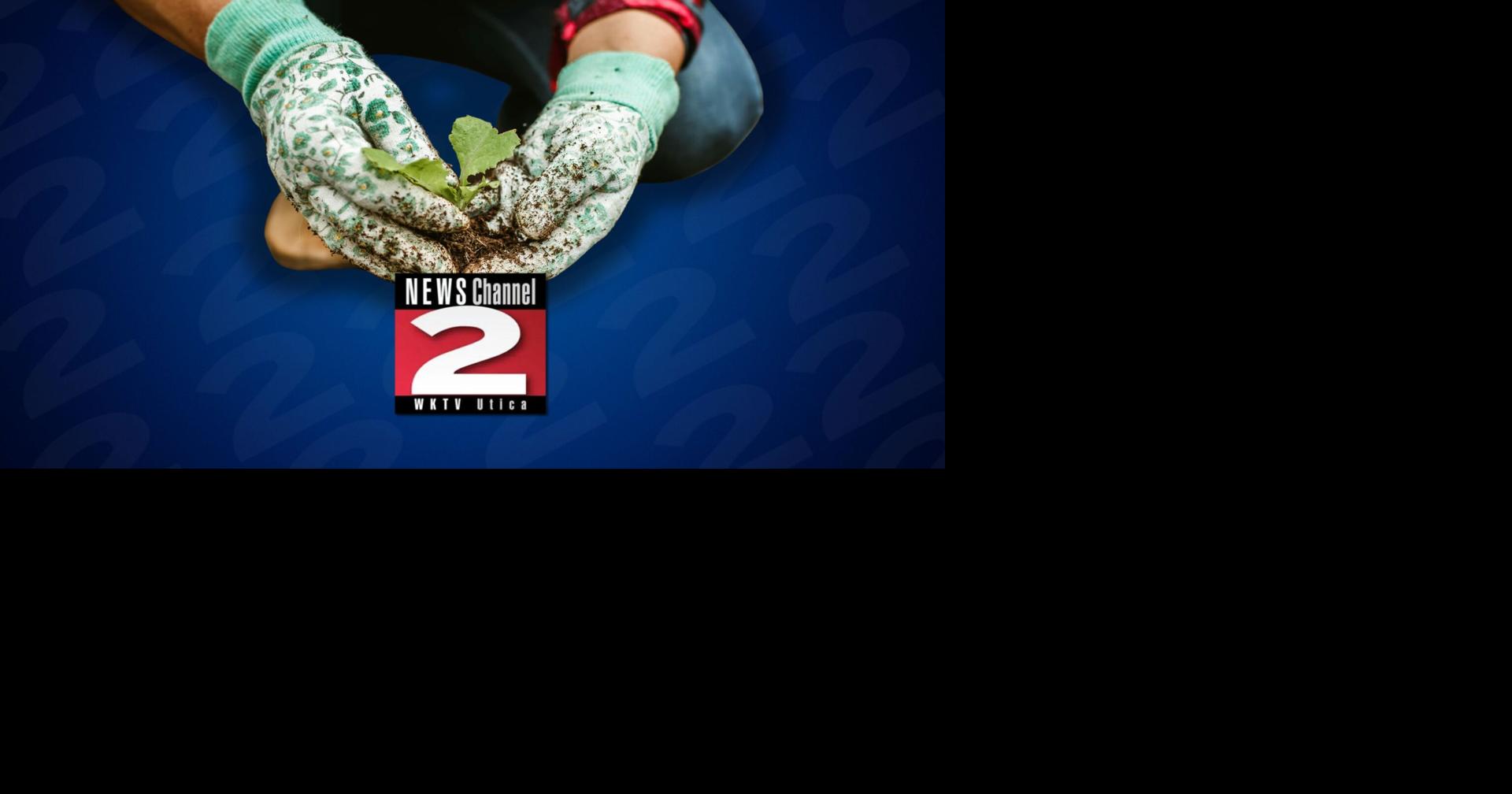 What You Need to Know About Preparing Plants for the Cold Mohawk Valley ...