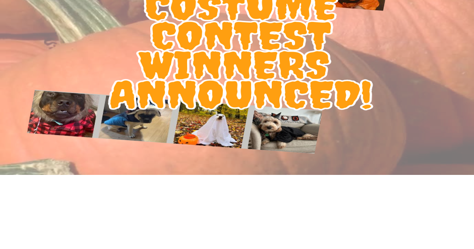 Winners of WKTV's Boo-ti-ful Costume Contest Announced | Community ...