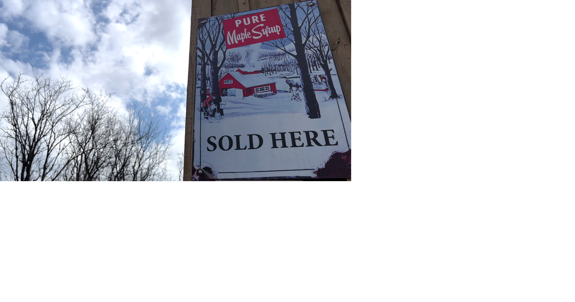 Oneida County Celebrates Maple Weekend: Enjoy Sap-to-Syrup ...