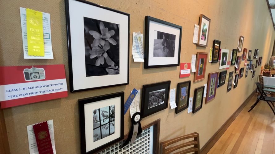 Vibrant Flower Show on Display Now at Utica Public Library ...