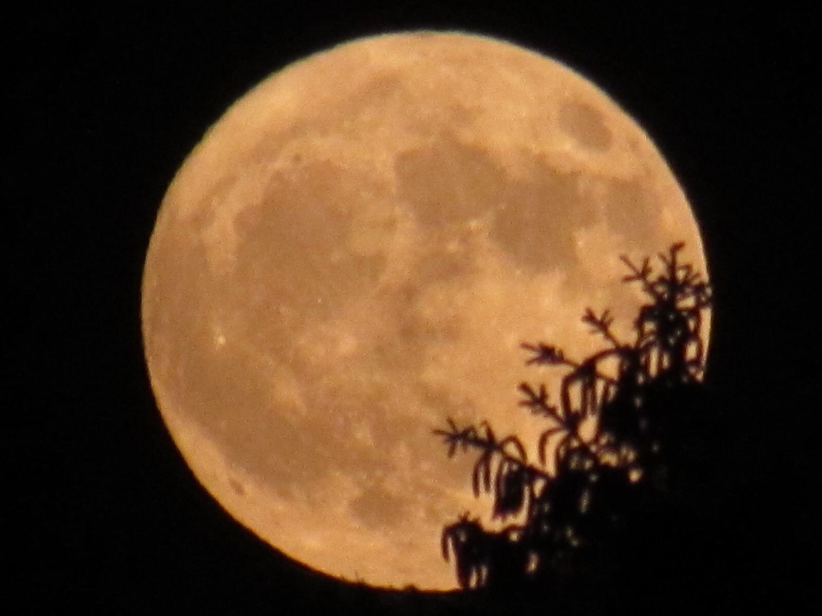 IN PHOTOS: June’s Strawberry Moon Shines Brightly in Mohawk Valley ...