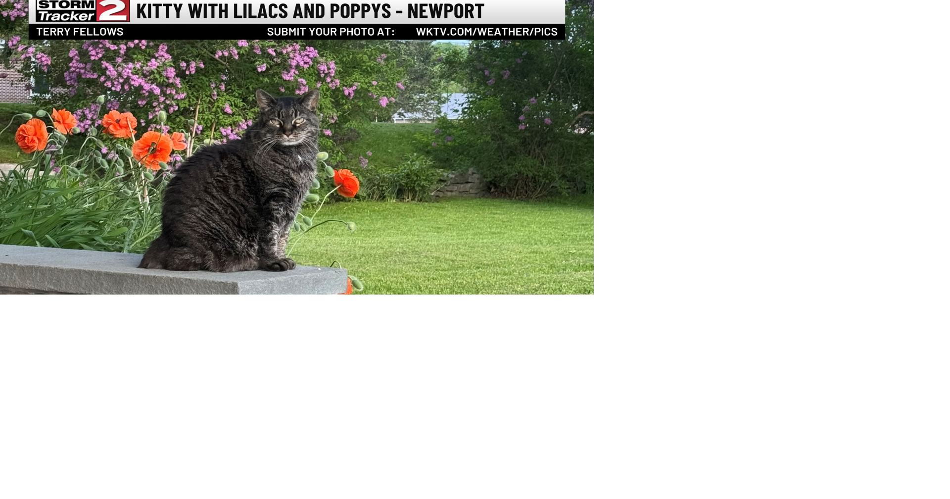 WKTV Weather Photo of the Day: May 28 | Daily Weather Photo | wktv.com