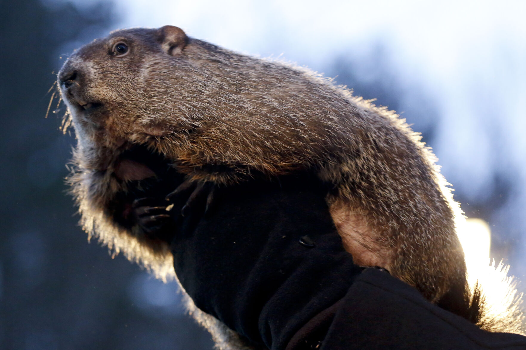 John Griffiths | | wktv.com