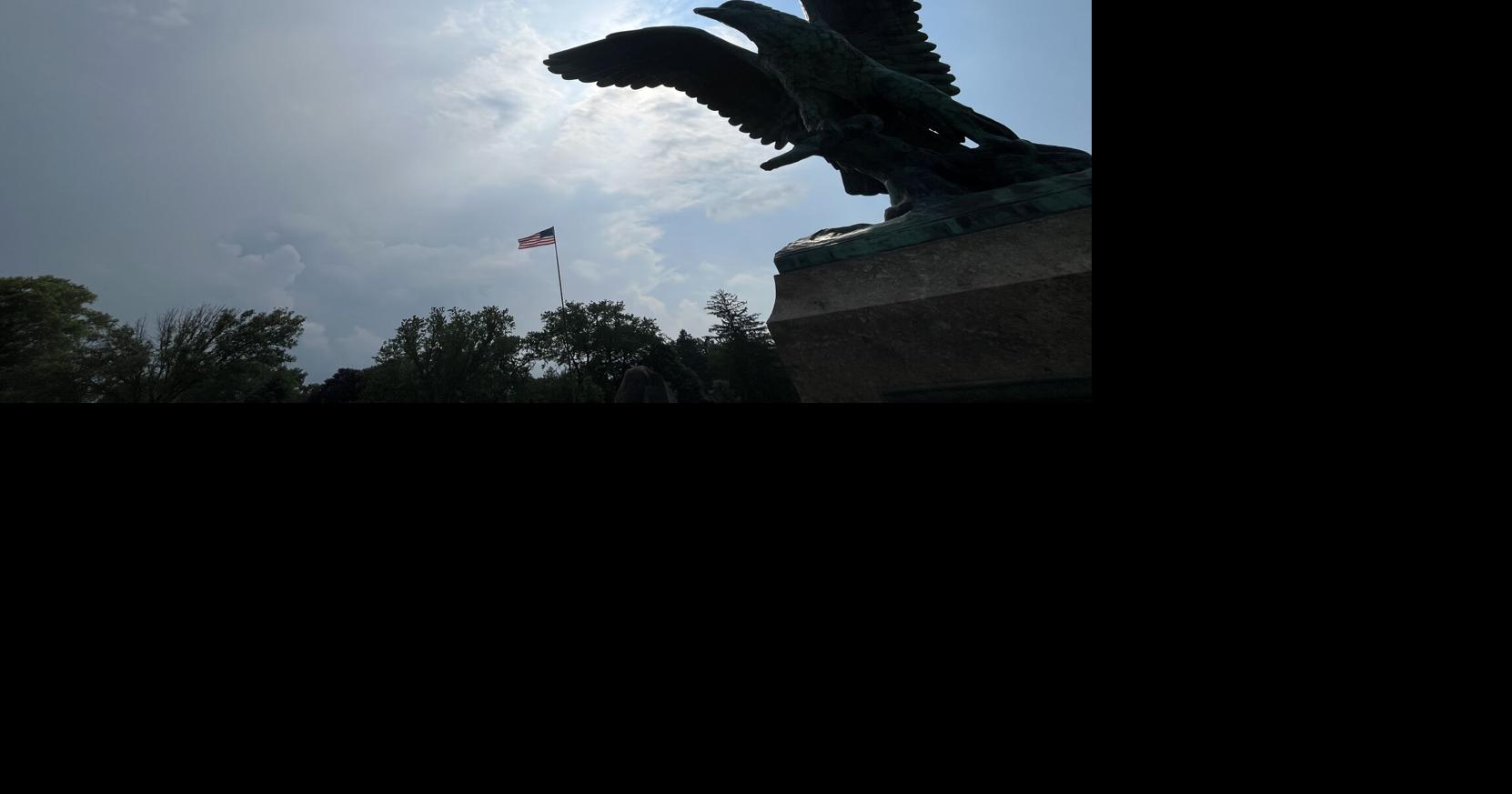 American Eagle Day: Viewer-Submitted Pictures of Mohawk Valley Eagle ...