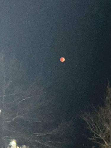 Viewer photos: Lunar Eclipse | Weather Photos | wktv.com