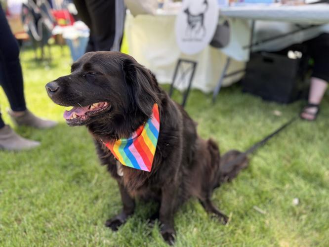 IN PHOTOS: 1st Day of Pride Month Kicks Off with Festival in Utica ...