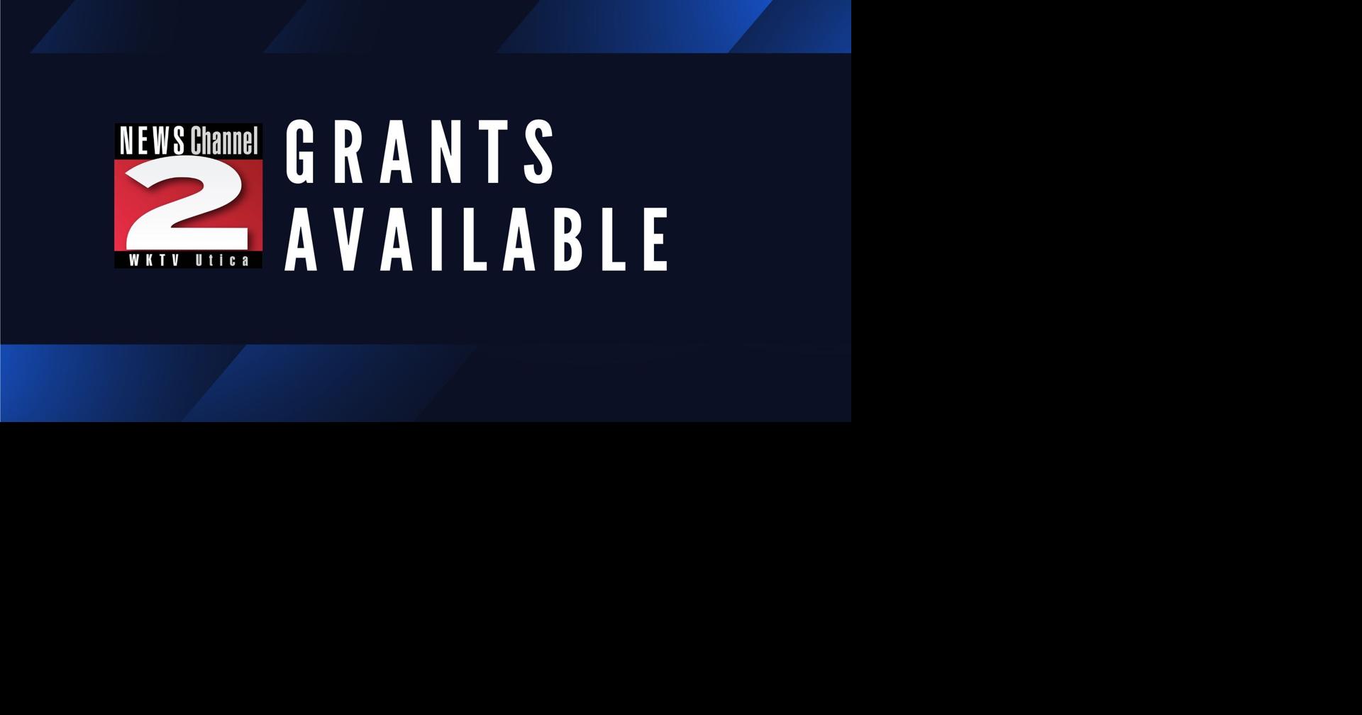 Grants Available for Facility Upgrades at New York Animal Shelters ...