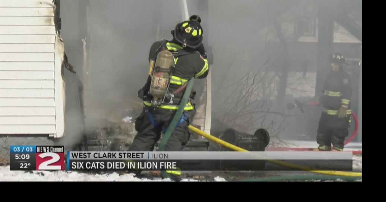 Fire official: 6 cats died in Ilion house fire | Local | wktv.com