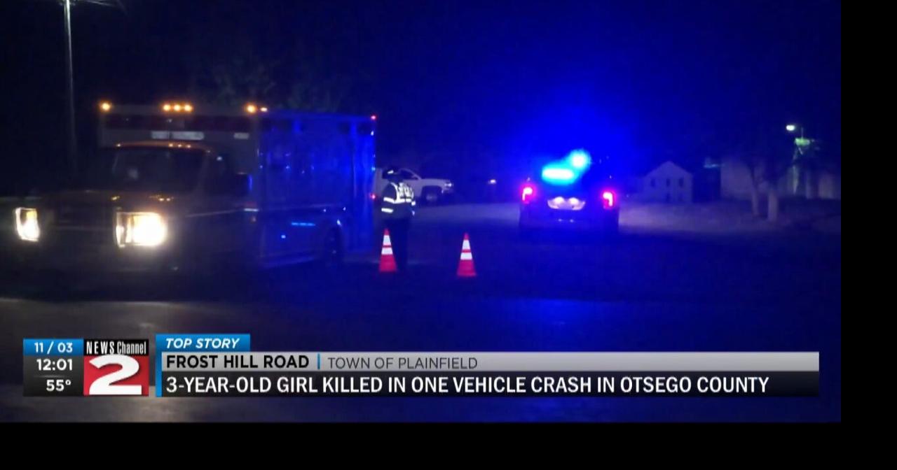 State police identify 3-year-old girl killed in Otsego County crash | Local | wktv.com