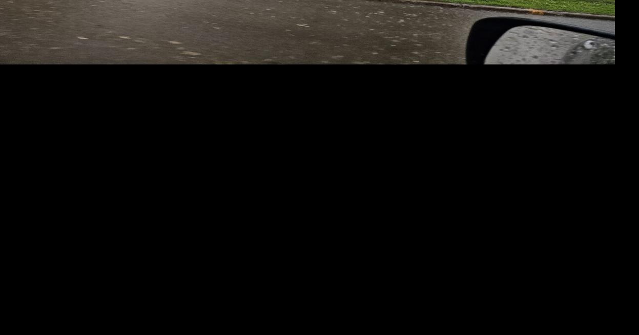 77-mph Winds: Trees and Wires Reported Down as Storm Packs a Punch in ...