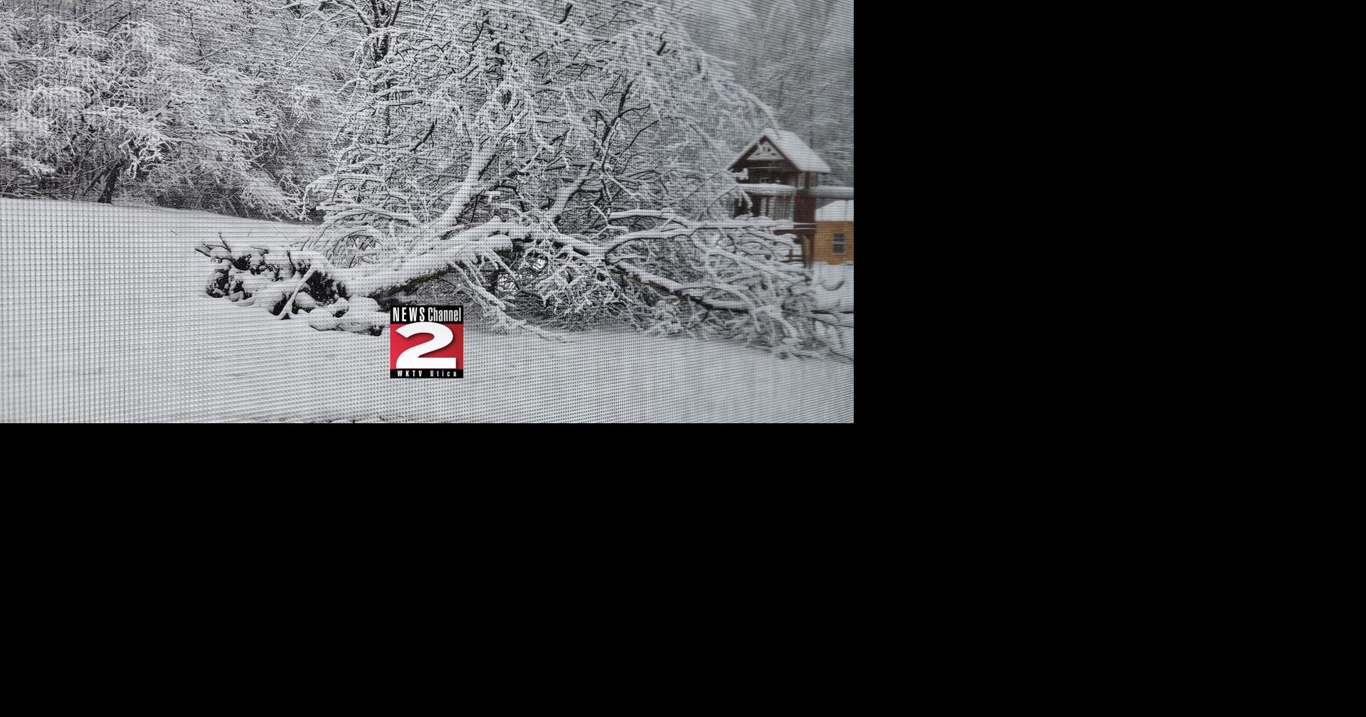 NYSEG Continues Working to Restore Power in Parts of the State | Local ...
