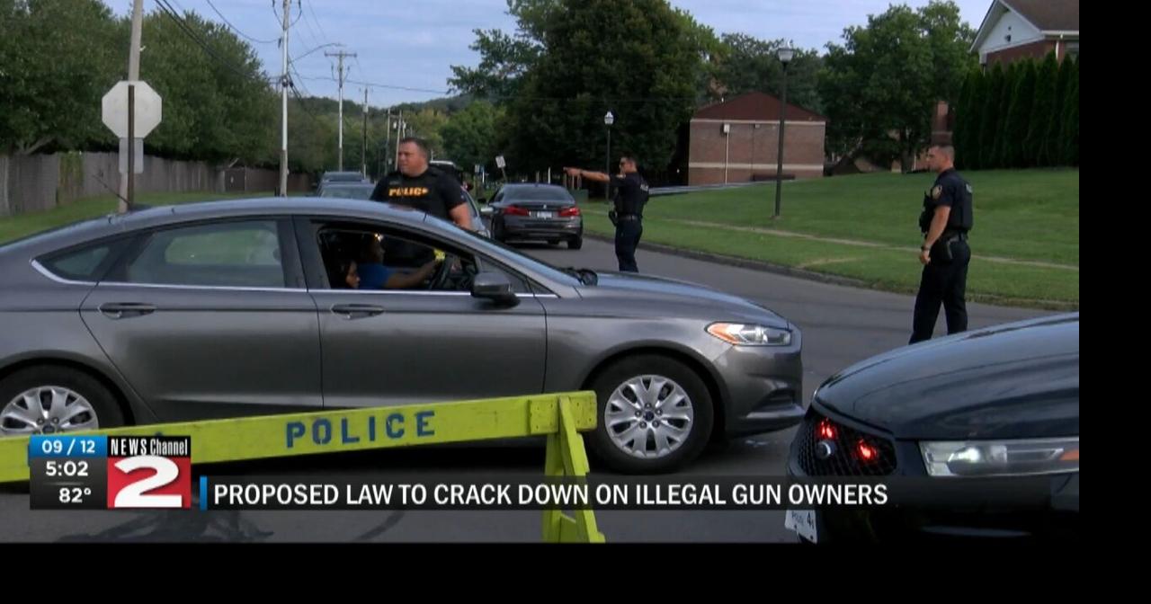 Local Lawmakers Craft Proposed Gun Legislation After Weekend Shooting ...
