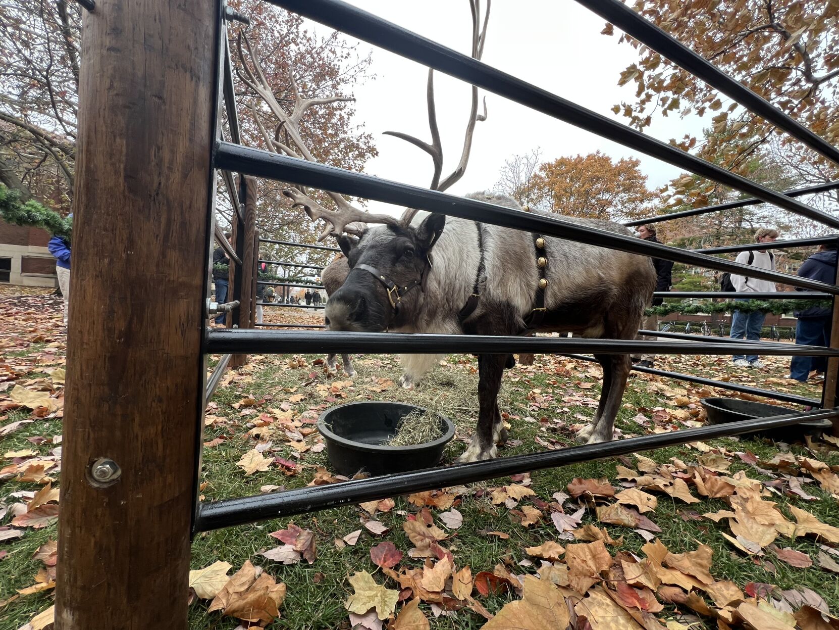 فرشته سکسی فلم