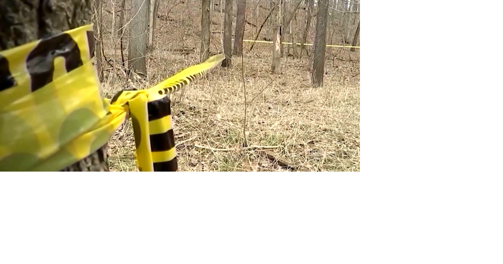 Delphi Murder Trial Day 5: A witness and the pathologist take the stand ...