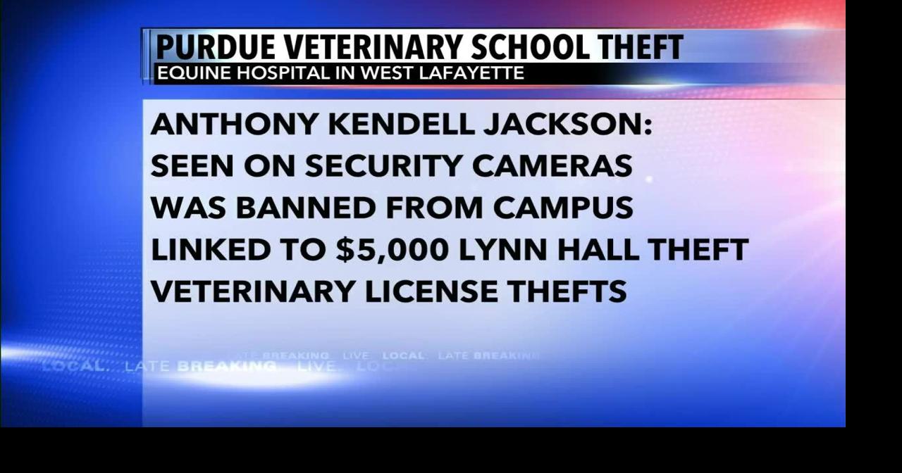 New Details Emerge in Purdue Theft Case: $5K in Veterinary Medications and Licenses Gone | Video ...