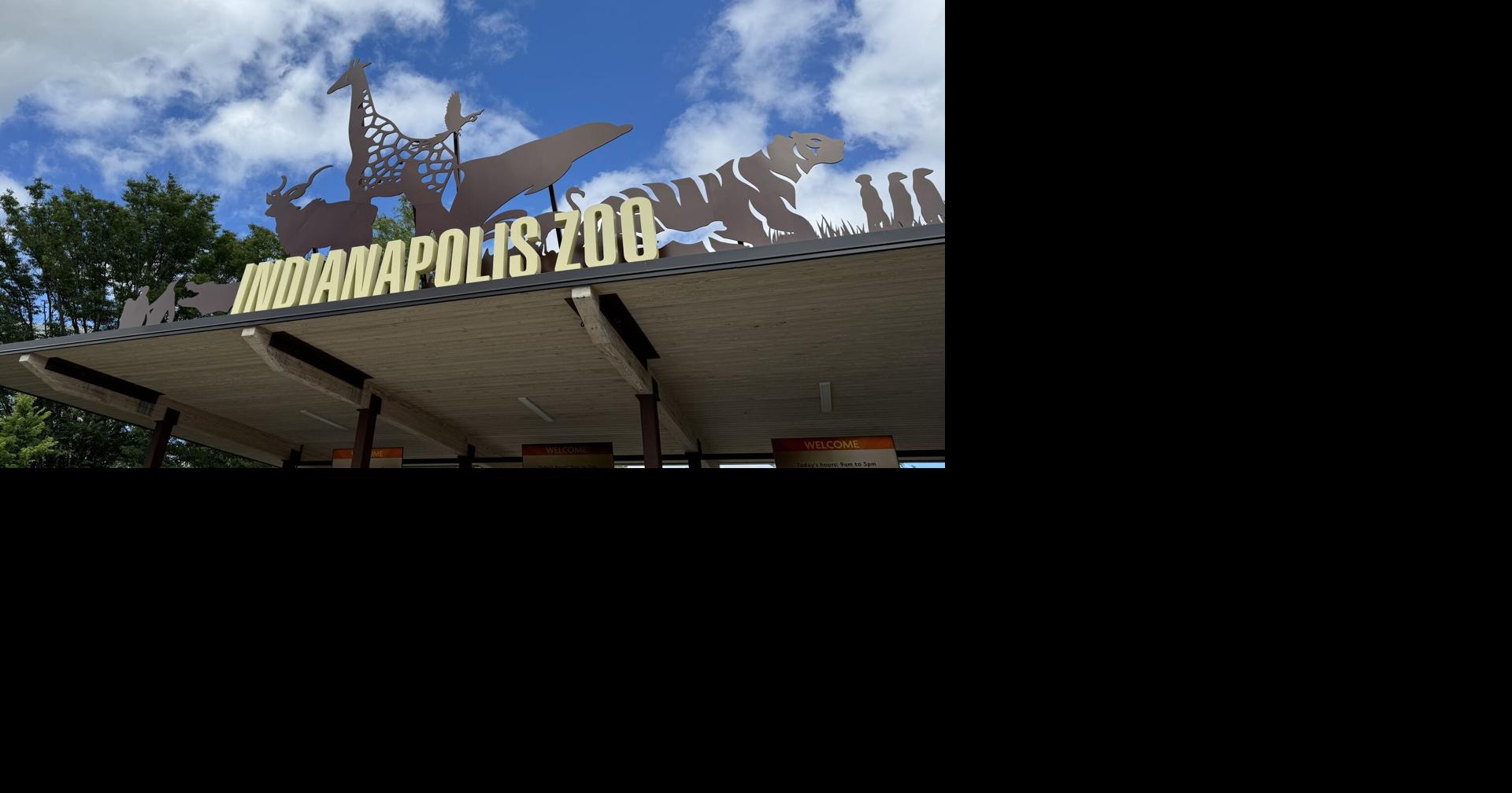 Indianapolis Zoo locks down after chimp escapes exhibit | News | wlfi.com