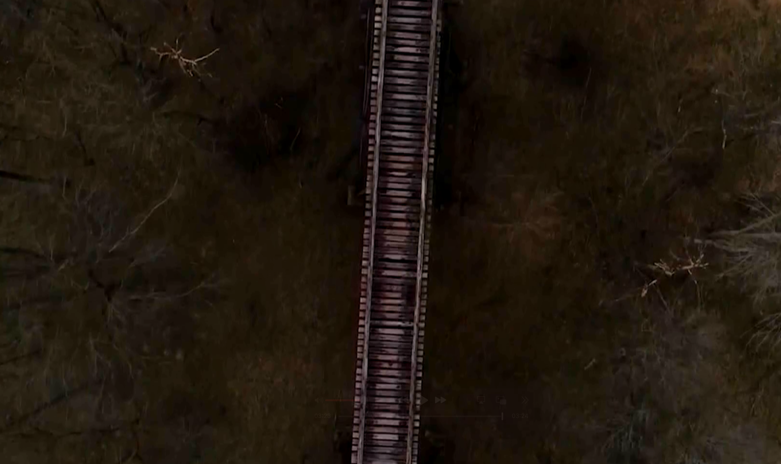 Delphi Murder Trial Day 5: A witness and the pathologist take the stand ...