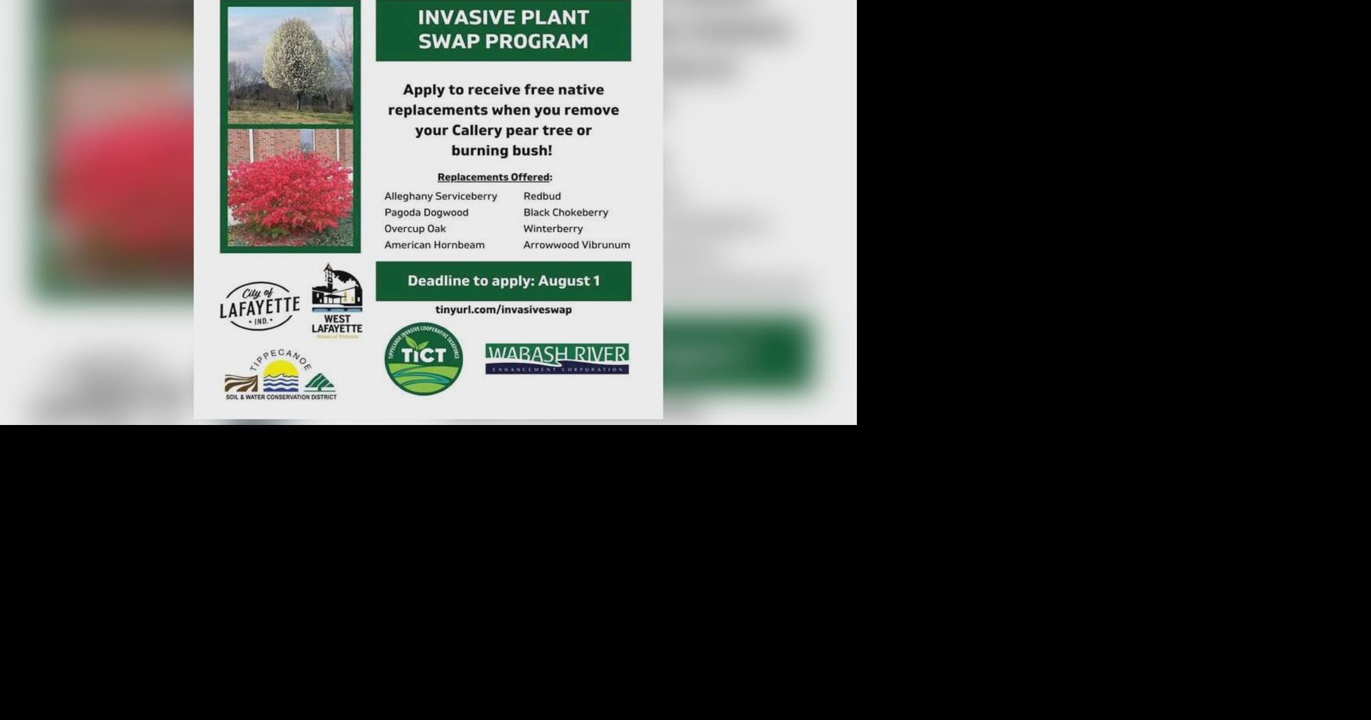 Tippecanoe County offering invasive plant swap program | News | wlfi.com