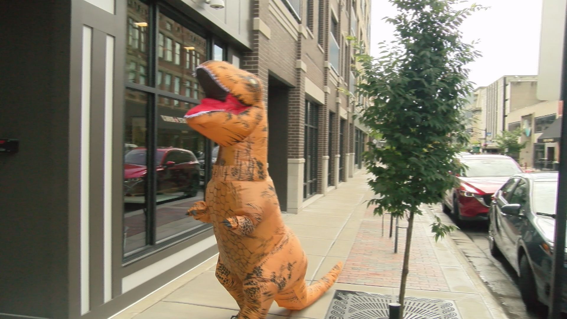 Mosey Down Main Street gears up for the weekend | Local | wlfi.com