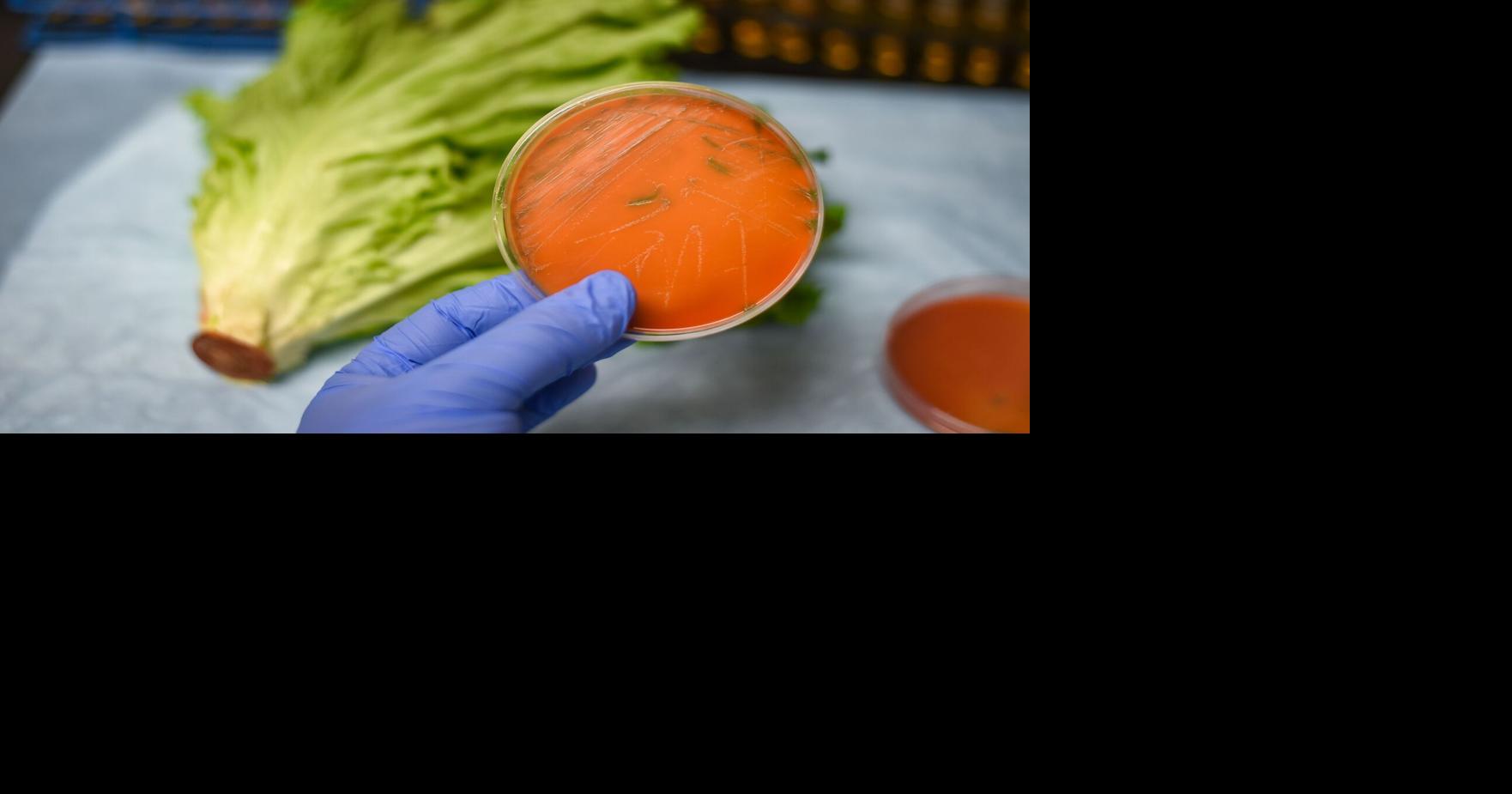 Listeria outbreak: What to know and how to protect yourself | News ...